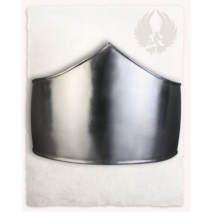 Friederich Abdominal Armour