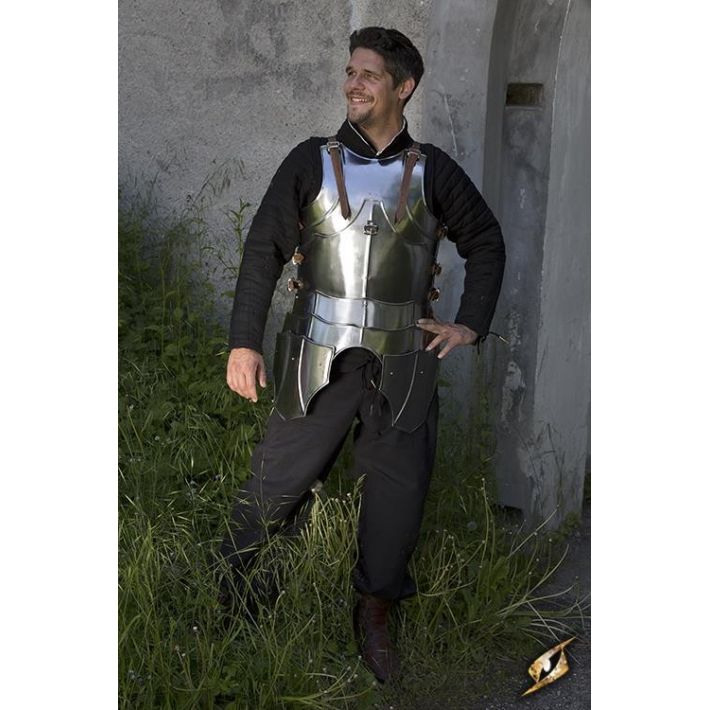 Gothic half armour