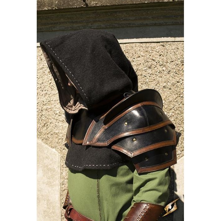 Shoulder armour & neck guard