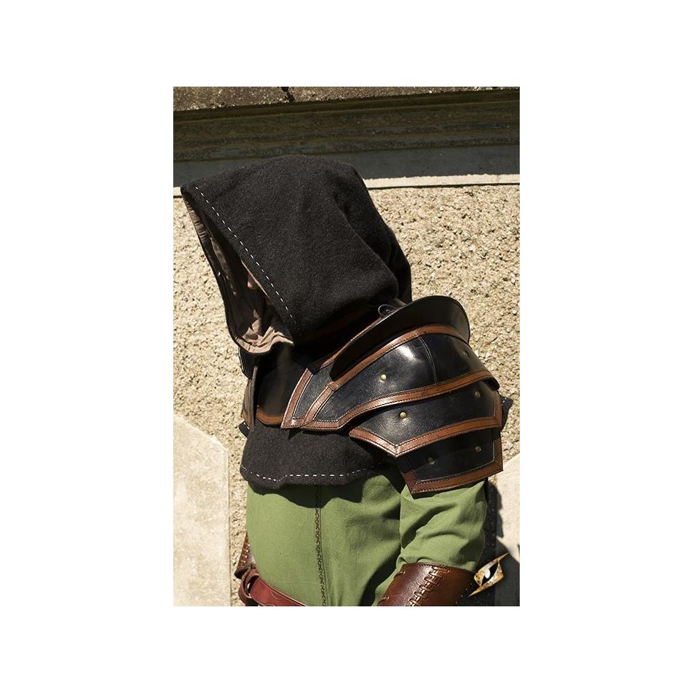 Shoulder armour & neck guard