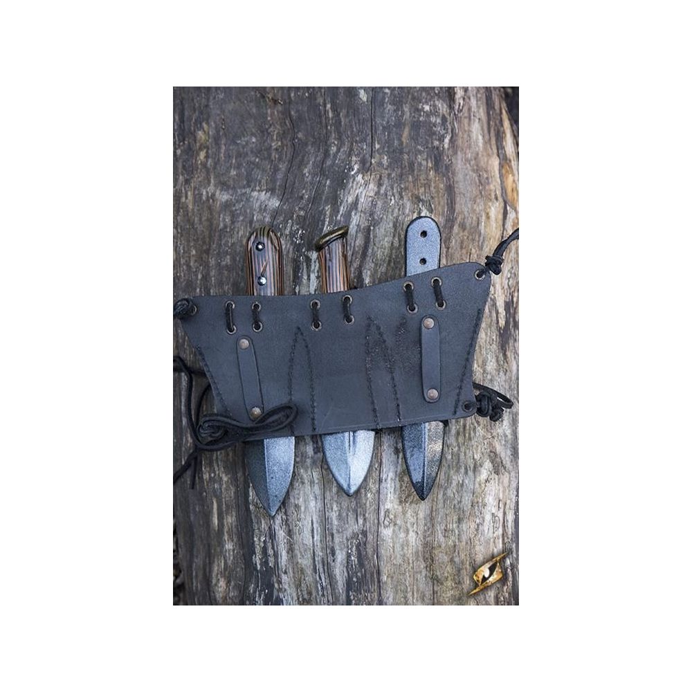 Throwing knives holder (3)