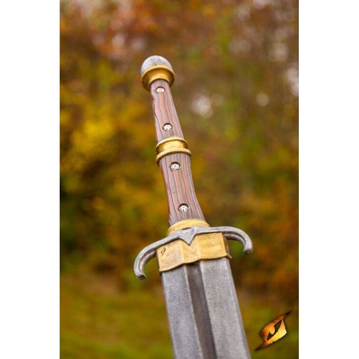 Mercenary sword - Vanguard